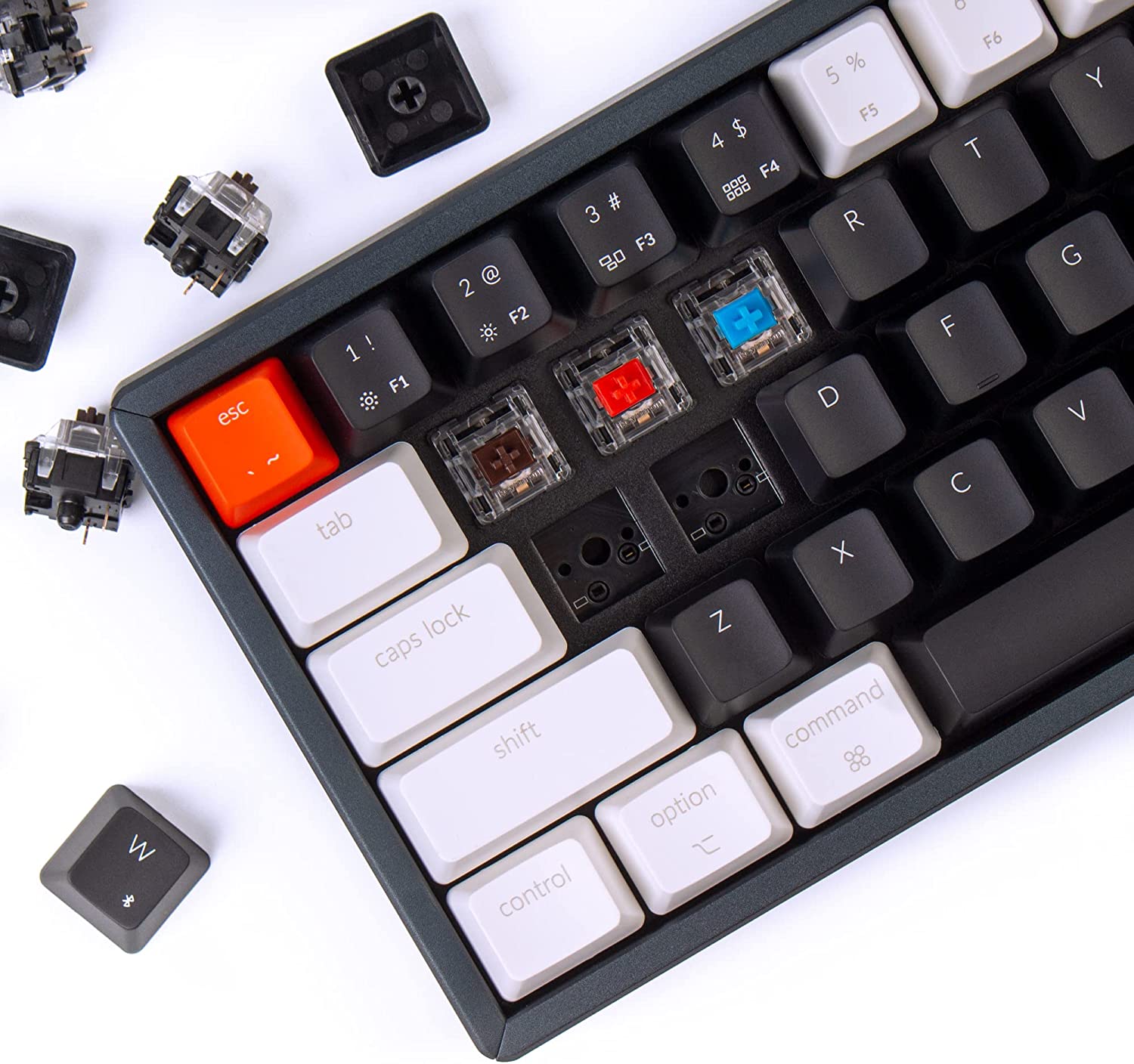 Keyboards – Nerdie Lab